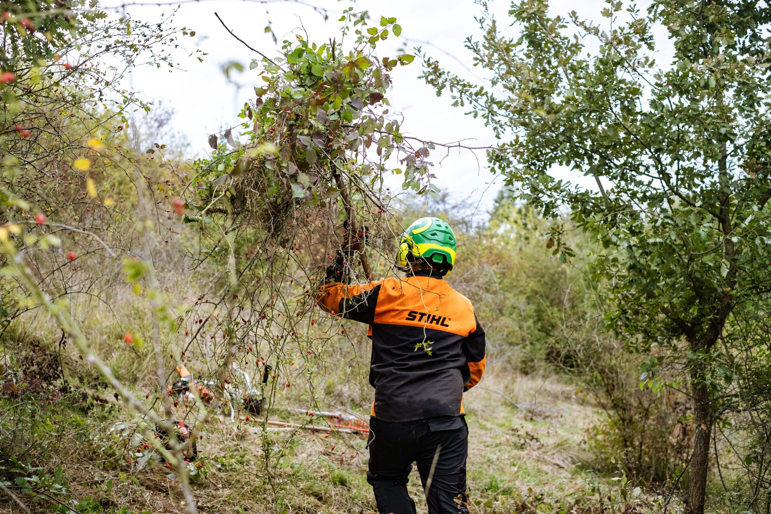 30 ans après... | Conservatoire d'espaces naturels Occitanie